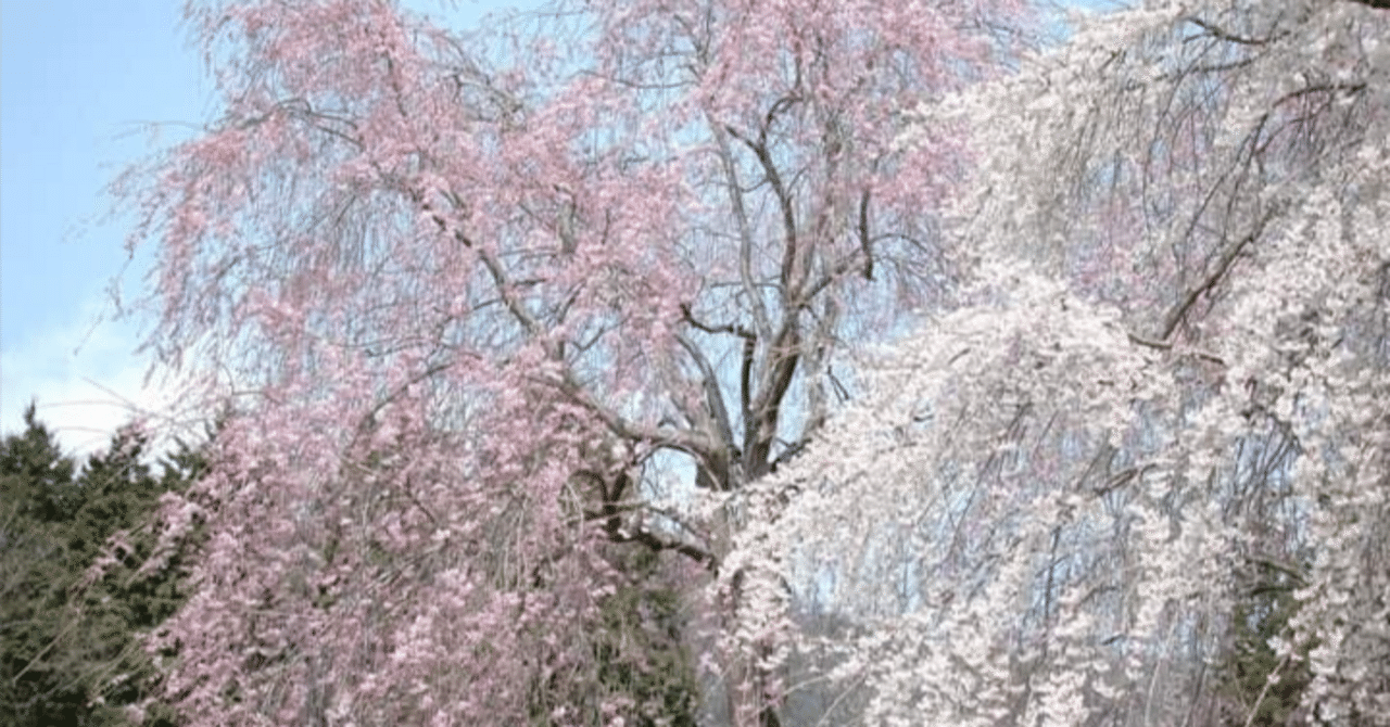 なぜ公立中高一貫校受験は“ギャンブル化”するのか？〜プレッシャーの中で頑張る子どもに寄り添うカギは叔父叔母〜｜JULLIE.I