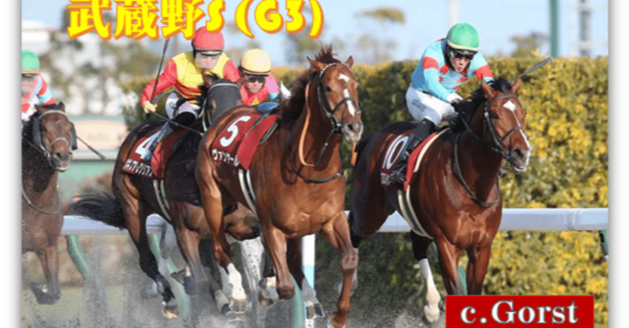 武蔵野S(G3)Vison 25-11-15｜OZON