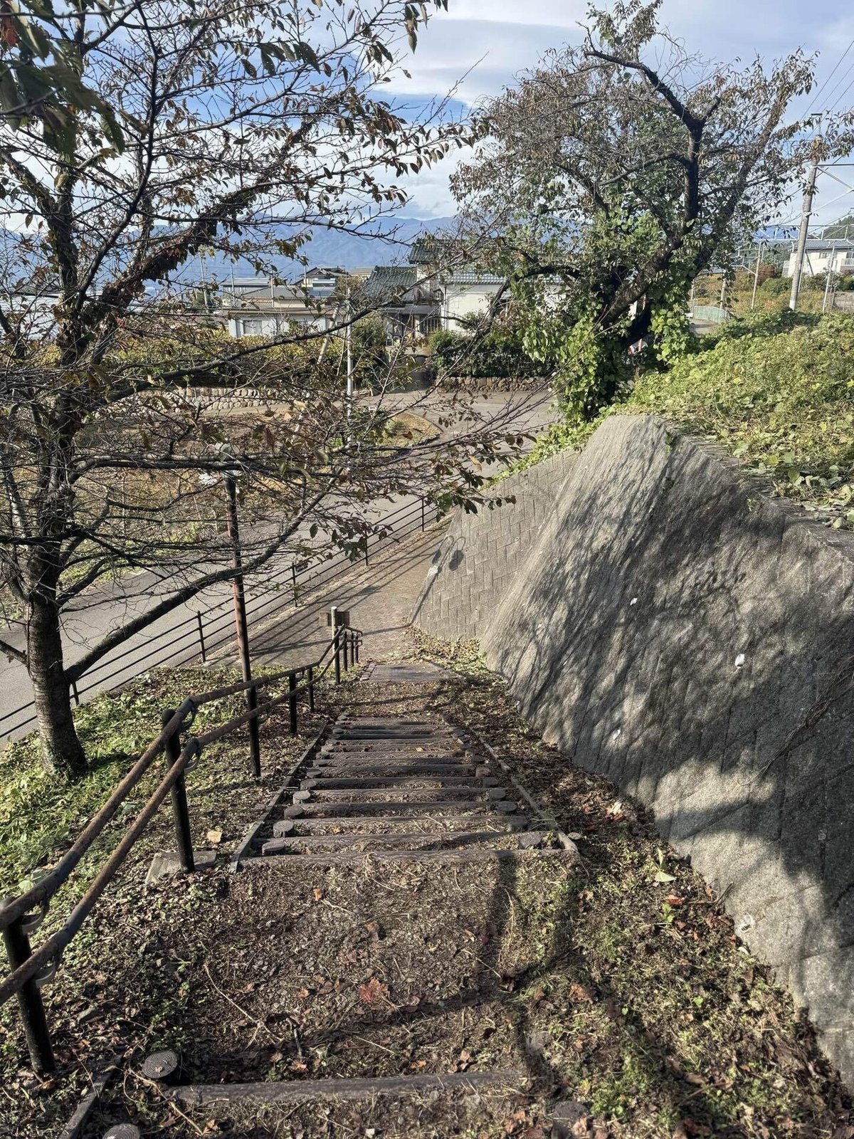 ぶどうの丘2025秋｜y hidetoshi