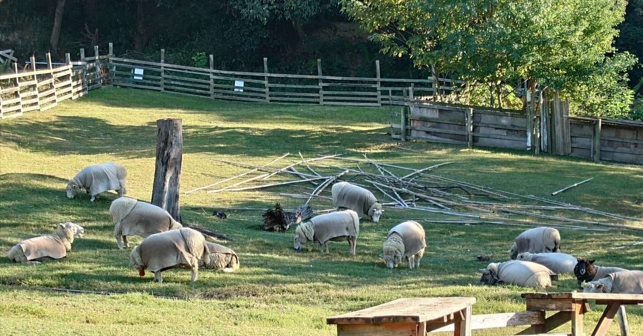 羊飼いの1万年ビジョン｜羊飼い丸岡