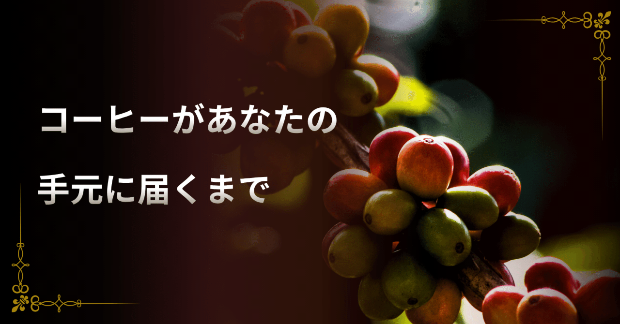 コーヒーが手元に届くまで｜農園からカップまでの全工程｜Beuno（ビューノ）