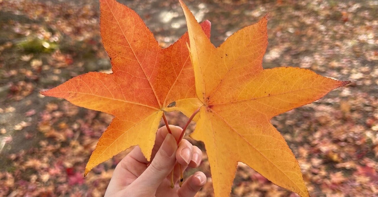 ポジティブ人間の｢心の傷｣を癒す｢痛いの痛いの飛んでいけ｣理論。｜はるのむぎ｜好きを集める旅人👒👜