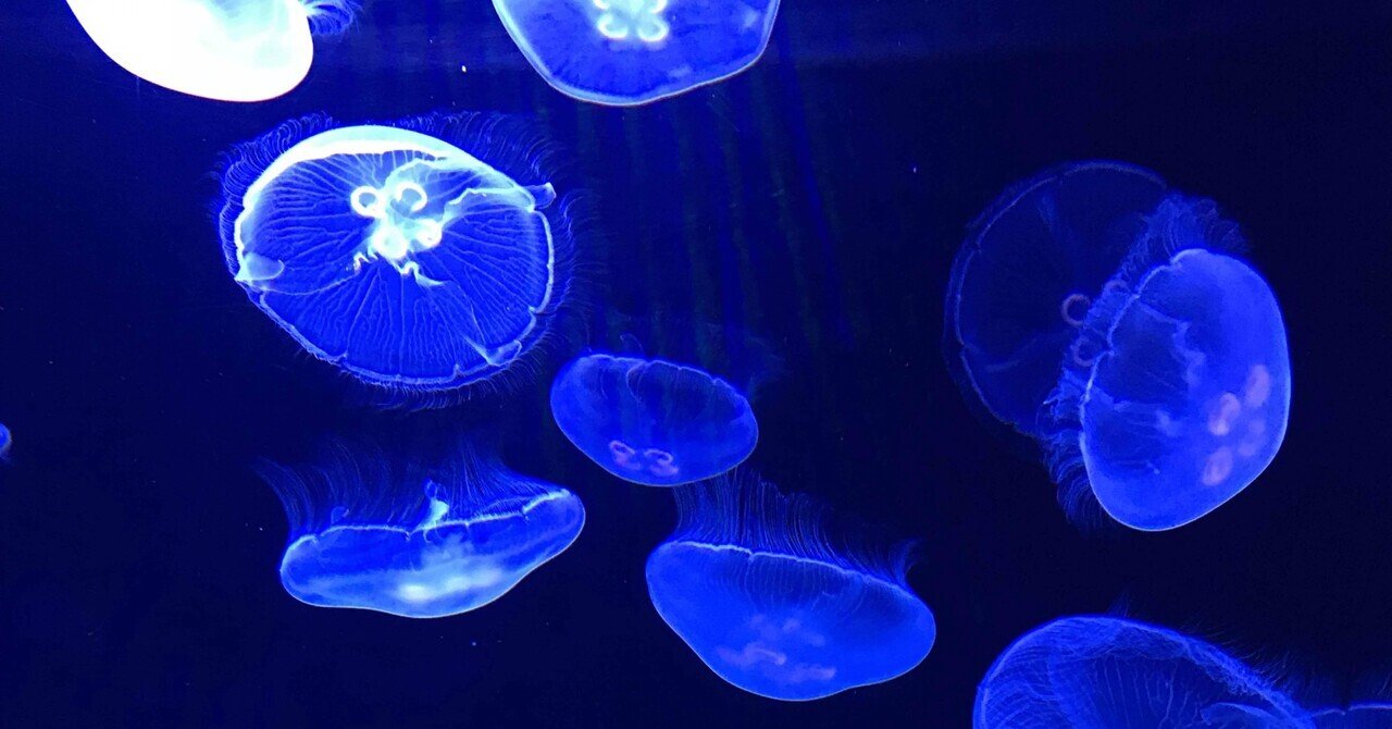 生まれ変わったらクラゲになりたい。｜sawa