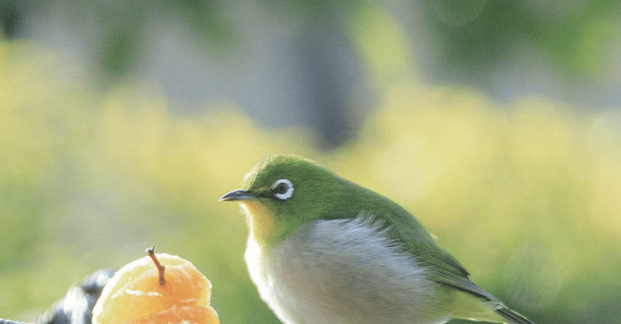 小説 熟年離婚（その19）｜Kohei Sasaki