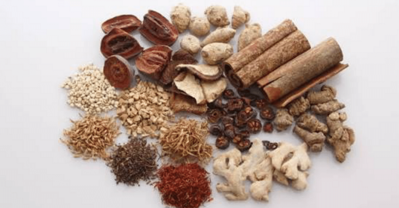 薬学部3年21歳、はじめてのnote｜自己紹介｜INTP｜薬学部｜漢方｜資格｜副業｜映画｜牡蛎(ボレイ)