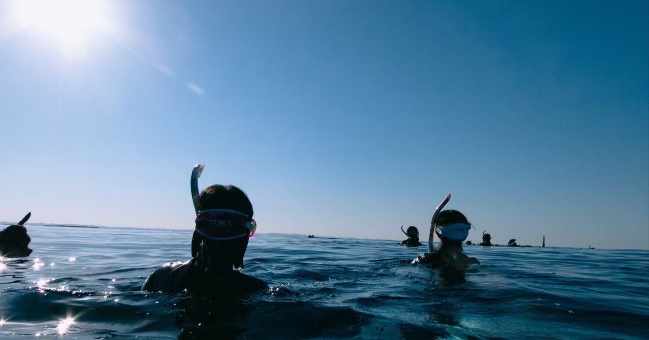 油断できない。どうにかしないといけない。｜ippei shimamura