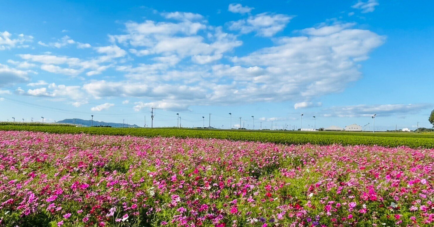 Yuka Ishikawa｜note