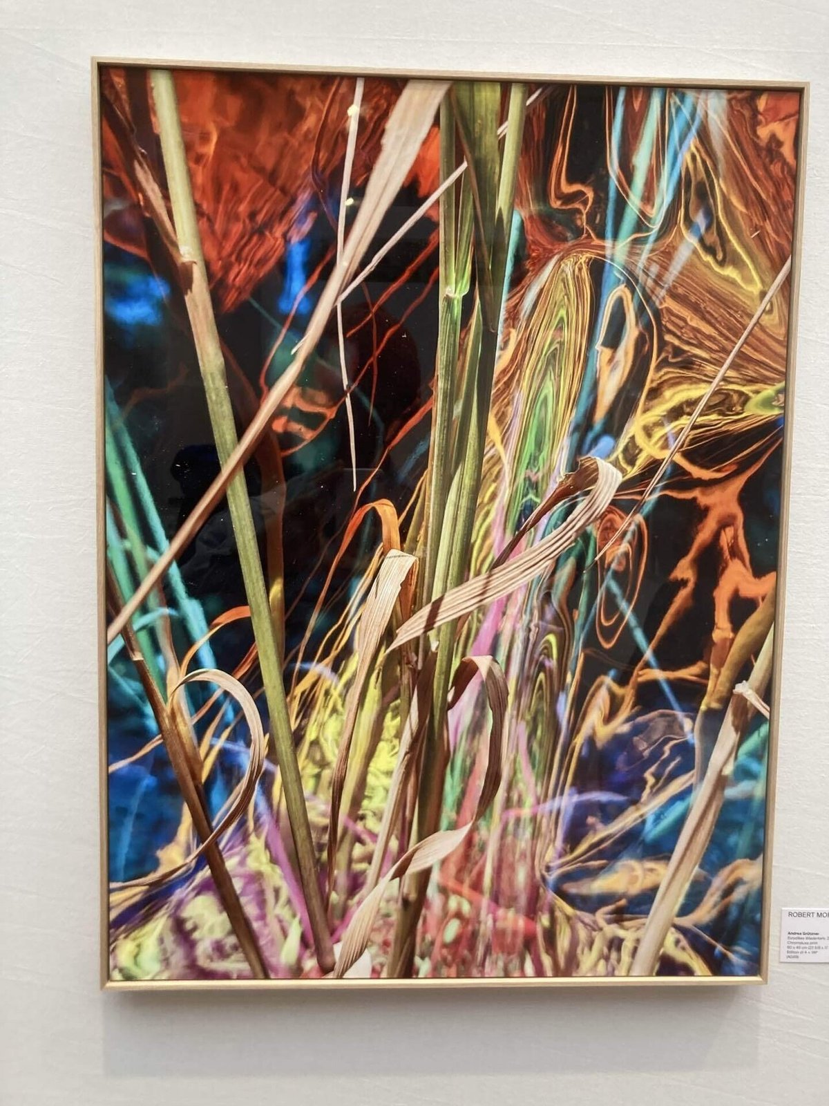 Paris Photo _ 雑感｜岸本 たくみ