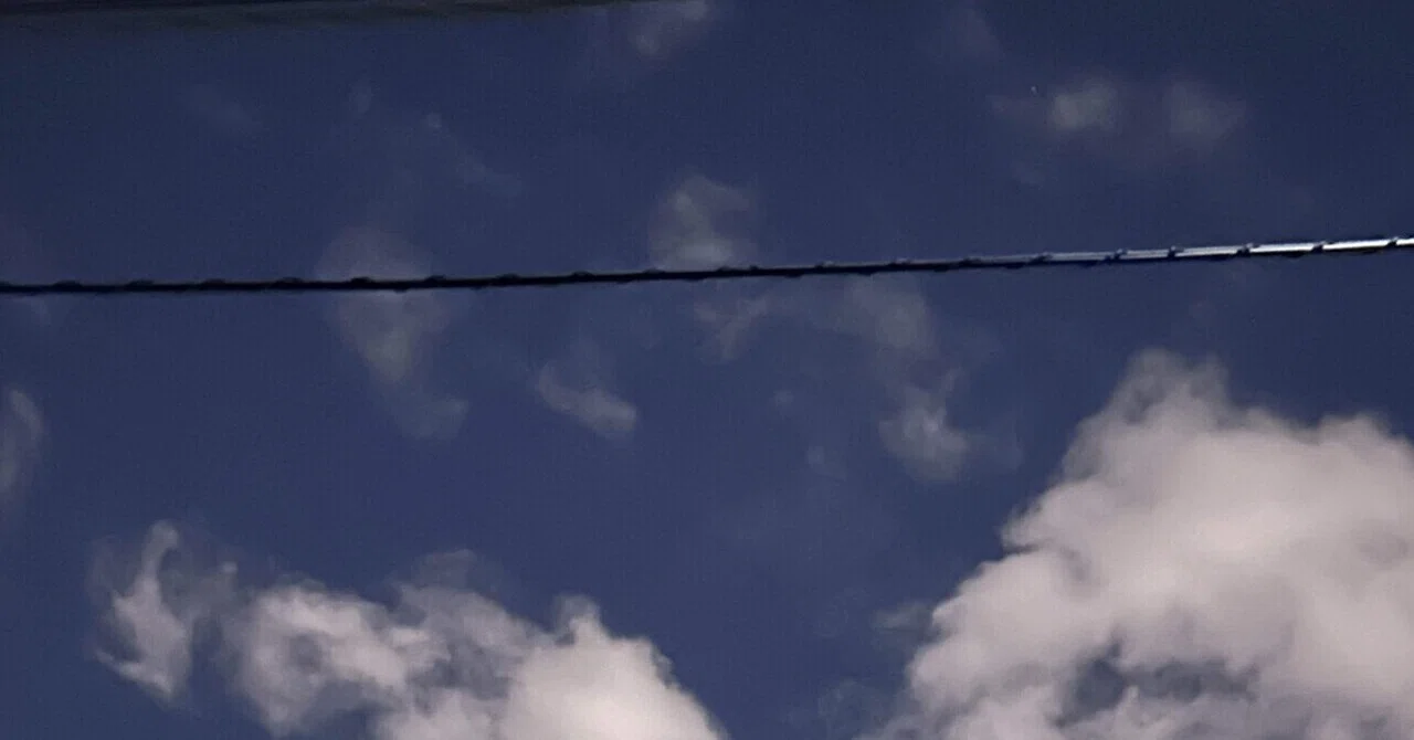 いつまでも、どんな形になっても元気でいてね と思っています｜iopkk