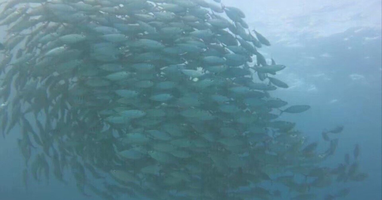 未来感のある一年、どこにいく｜ippei shimamura