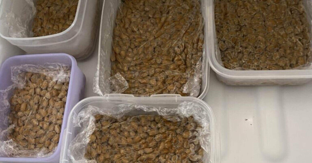 フィンランドで納豆を手作りする人生になるとは思わなかった｜Shunta / フィンランドで国際結婚