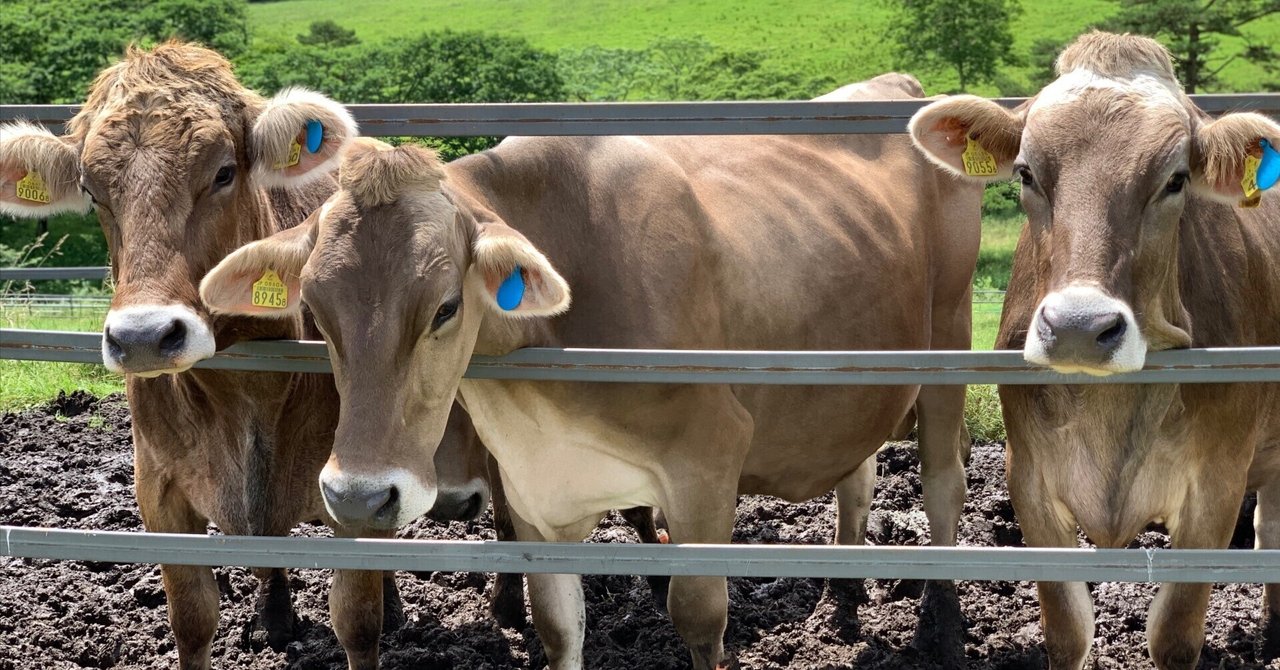 読みやすい投稿とは・・・｜Tomomi Mori