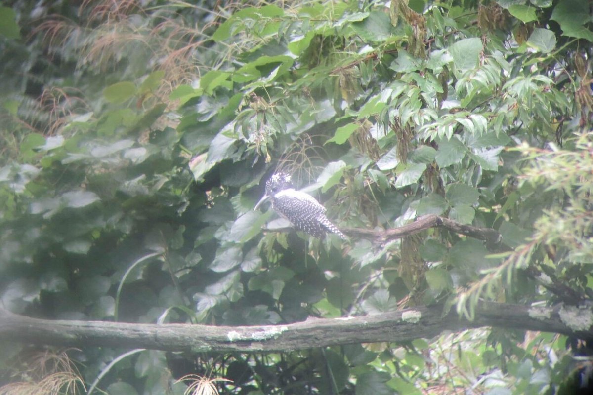 なんだろう。｜大北 瑛斗 / Eito Okita