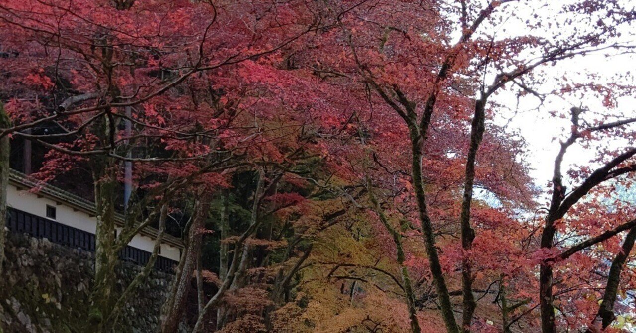 11月18日｜ㅅㅊㅇねえさん（sachiねえさん）