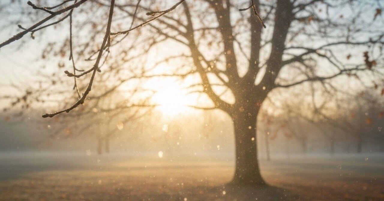 今日という光｜mado no kotoba