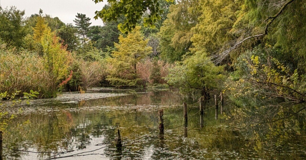 晩秋に、なぜか海にまつわる物語を読む｜サトウ