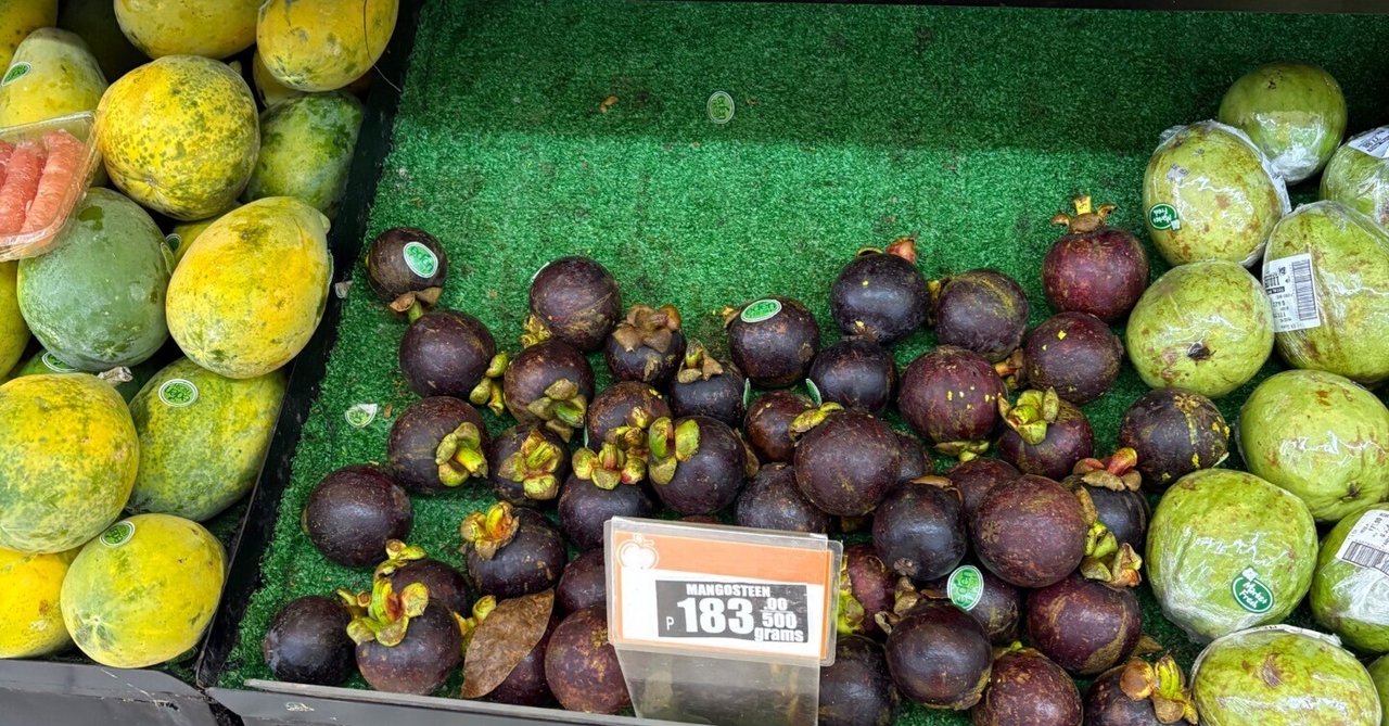 【Kredo】IT留学でできるようになったこと｜ピカッとチュウ