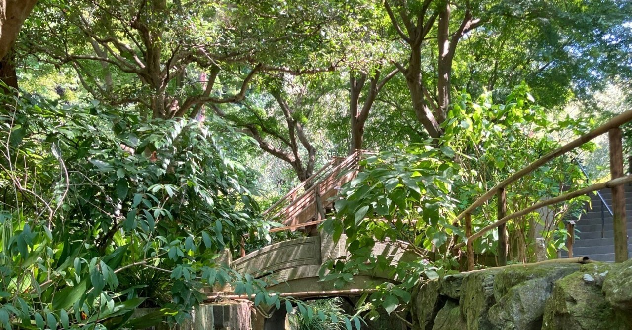 31. 『資格』沼にご用心｜木村圭佑（きむらけいすけ/Keisuke Kimura）