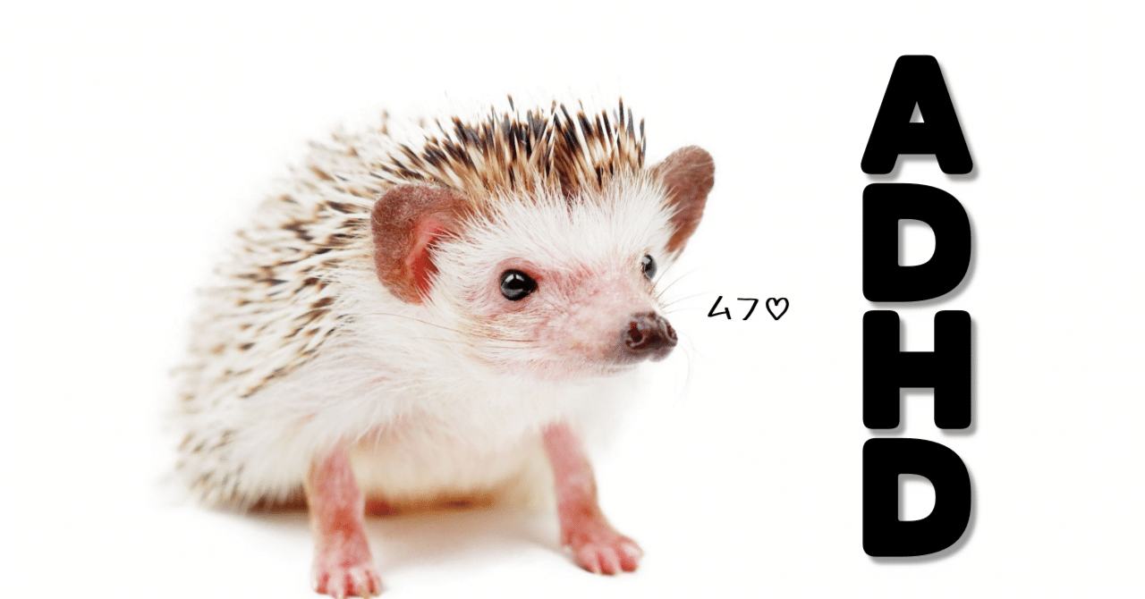 HSS型HSPだと思ってたらADHDだったでござるの巻｜自分で治すモン