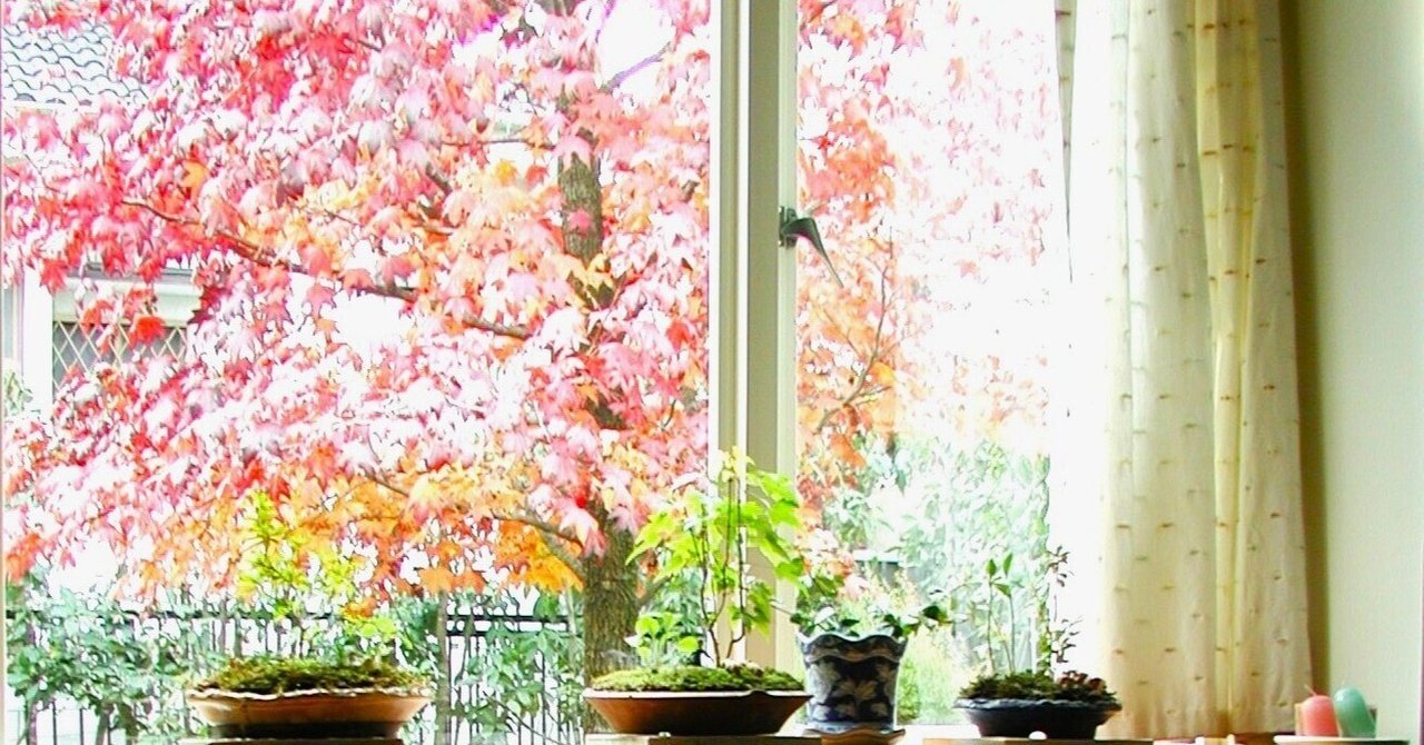 「With a Dog」 窓辺の紅葉｜Rabi Sato