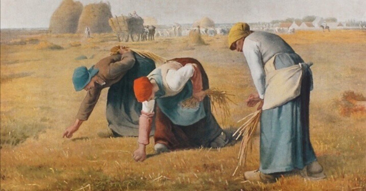 綿毛回収の歌｜haqqy