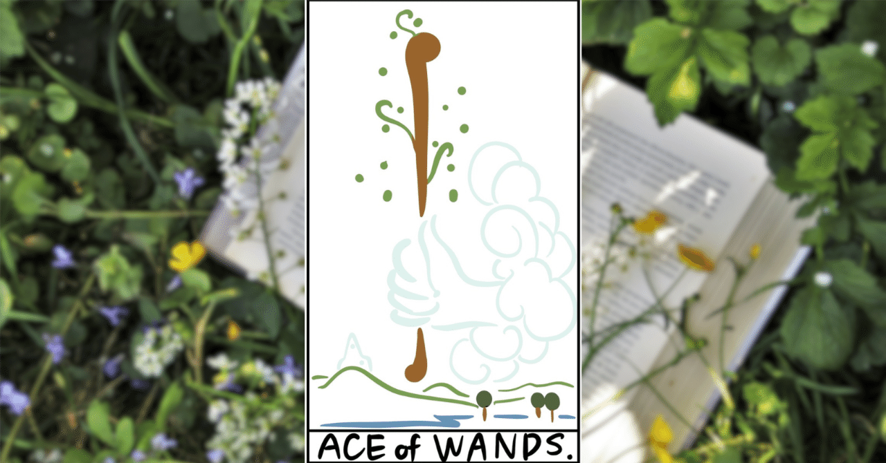 11月21日｜今日の一枚タロット「ワンドのエース（正位置）」— 小さな情熱が芽生える、新しい始まりの日｜noteも書く占い師 Mako