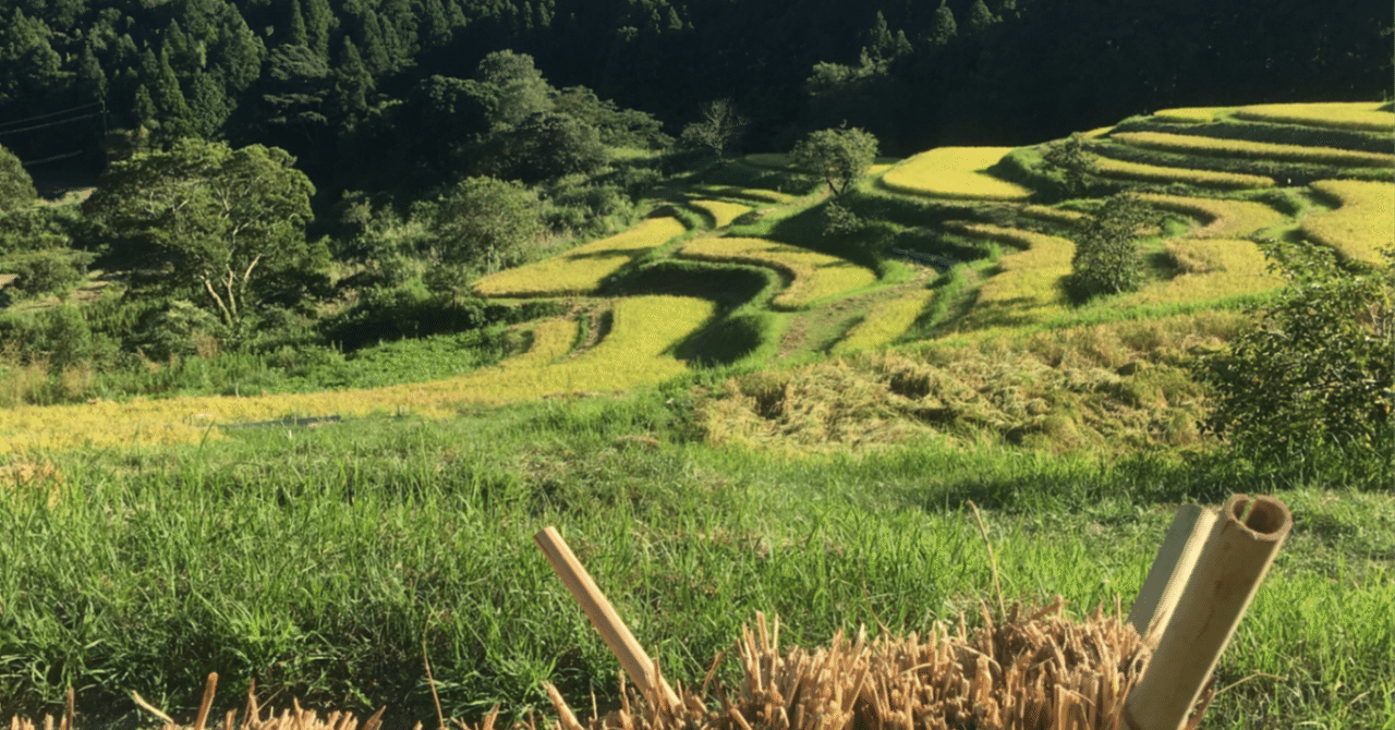 ＃74母テレビに出演｜老々介護奮闘記