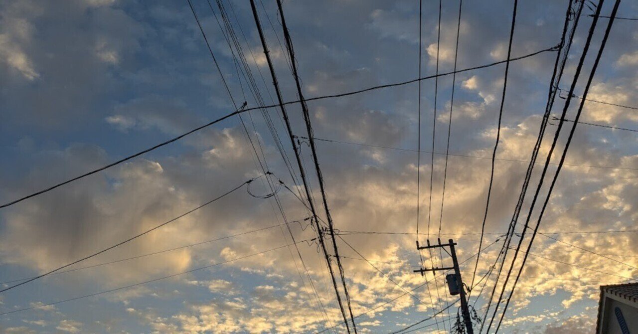 日記 2025-11-19(水)｜kono