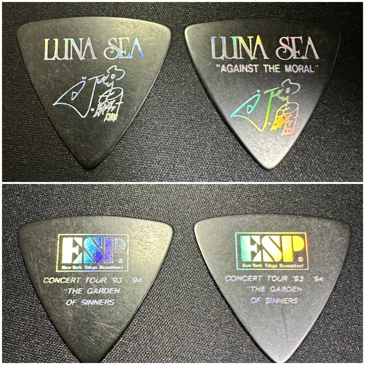LUNA SEA CONCERT TOUR 1993-1994 The Garden of Sinners｜LUNA SEA PICK ...