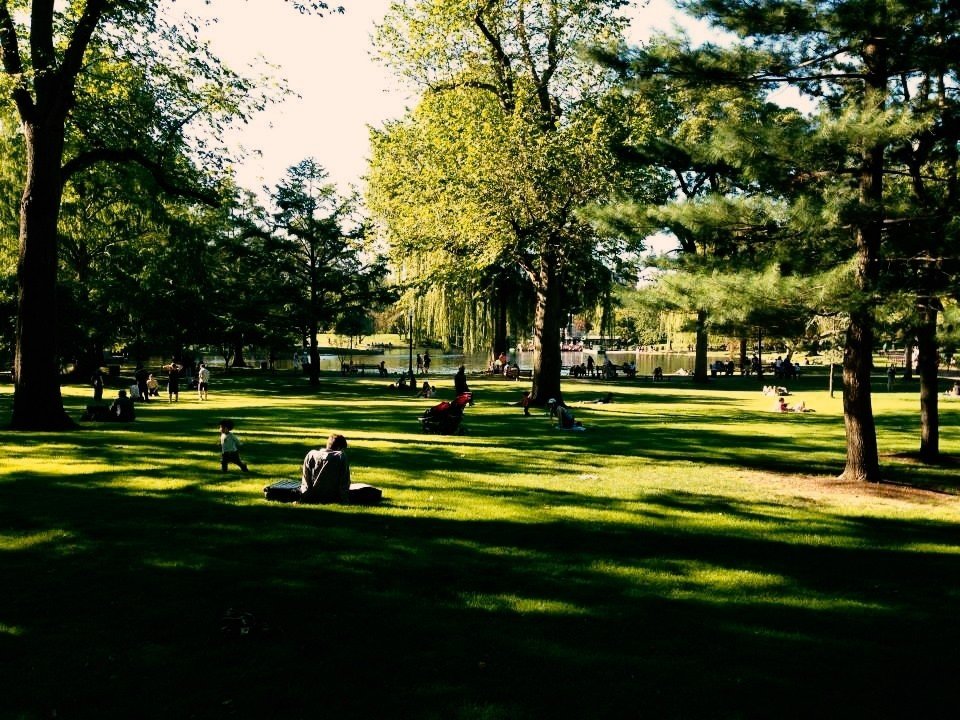 Boston Common Public Garden, Boston, 設計者 George F. Meacham, Frederick ...