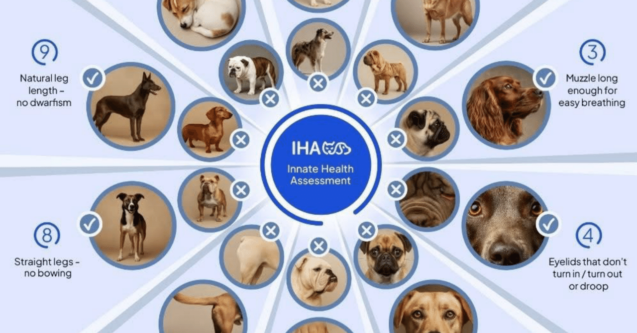 先天性健康評価（IHA）ツール｜GHB...繋ぐ