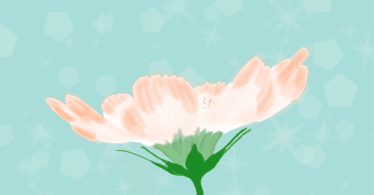 FANBOX更新しました！—「奇跡」という言葉が遮ってしまうもの｜ちびひめ