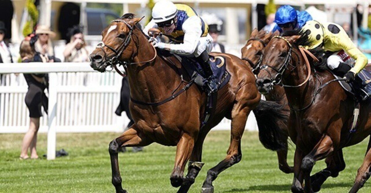 マイルチャンピオンシップ No.4｜shige