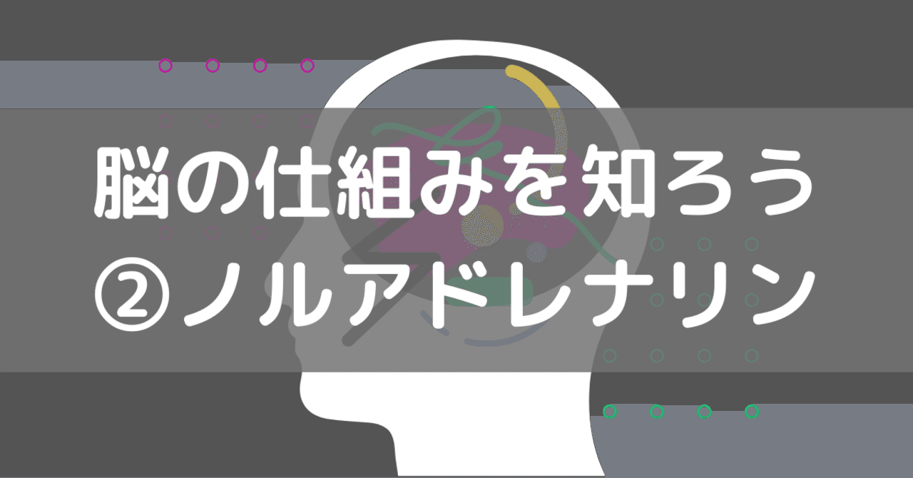 脳の仕組みを理解して、人生をいい方向にコントロールしよう：②ノルアドレナリン｜ニシムラ タクミ｜note
