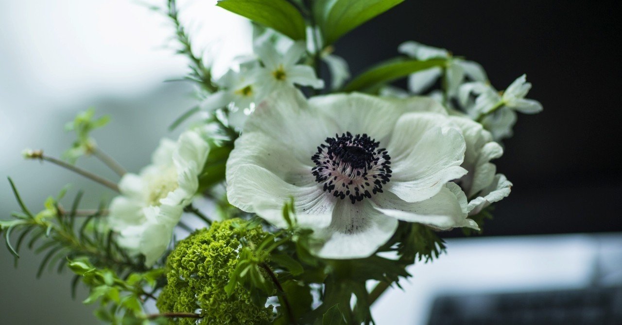 撮影の感想②｜Lisa Ito