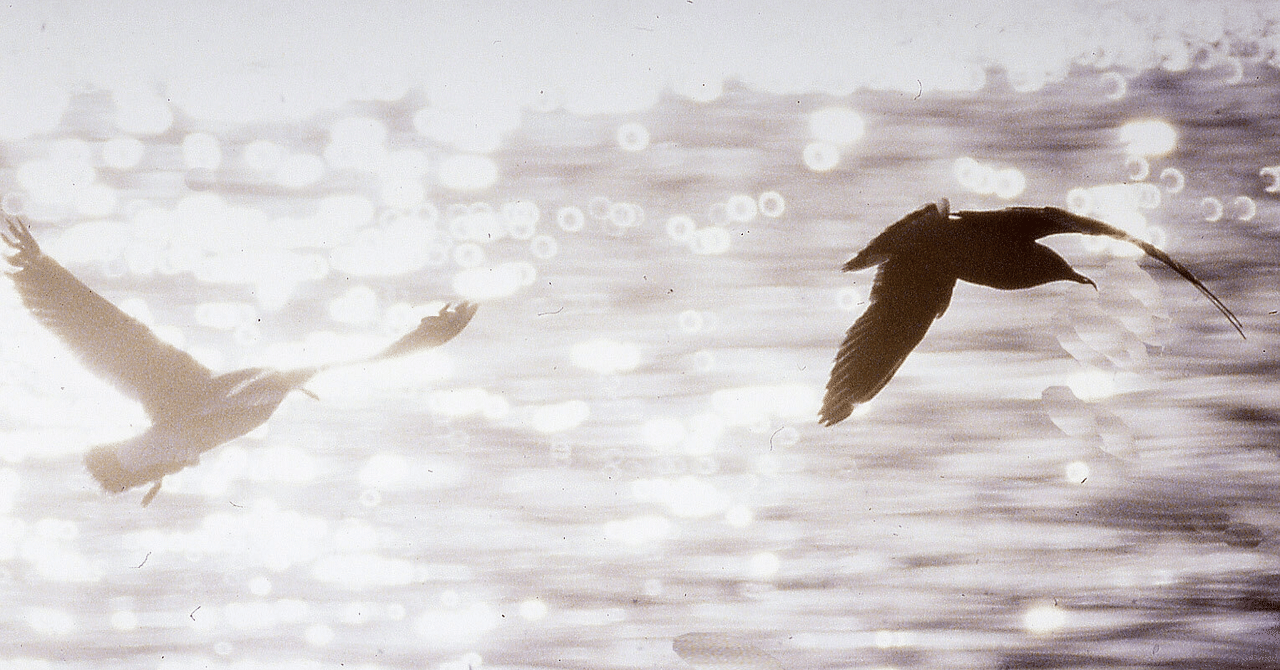 まこちん語録｜菜穂@ hibi writer