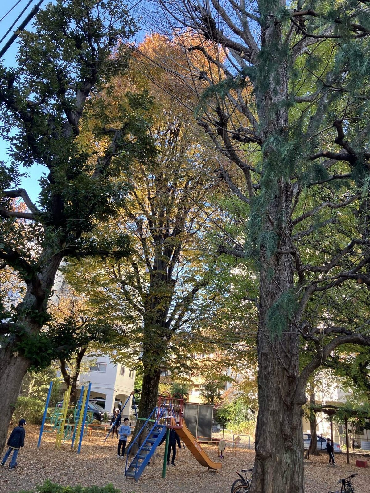 さんかく児童遊園🍁 Sankaku Children’s Park｜Chubby in Nerima