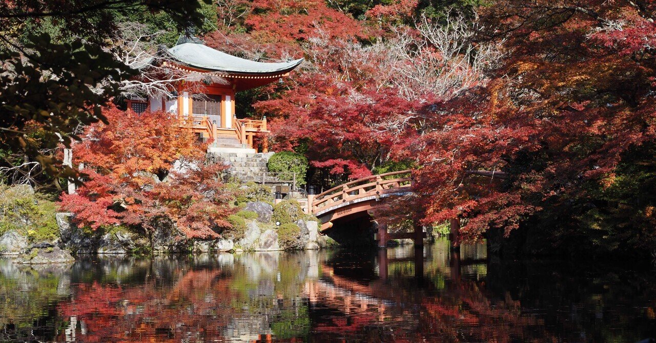 京都紅葉狩りの旅 Day1 昼｜yuzuo