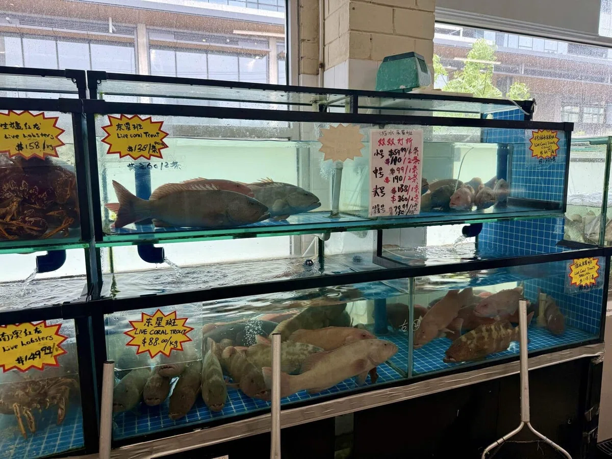 まるで中国？Box Hill Marketで味わう異国感｜ohana | メルボルンと私と小さな怪獣たち
