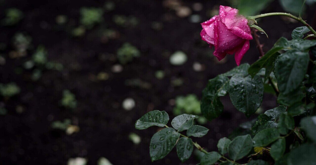 彼とまぐあえなかった話〜膣と心の繋がり〜｜ayami｜わたしの変化の記録