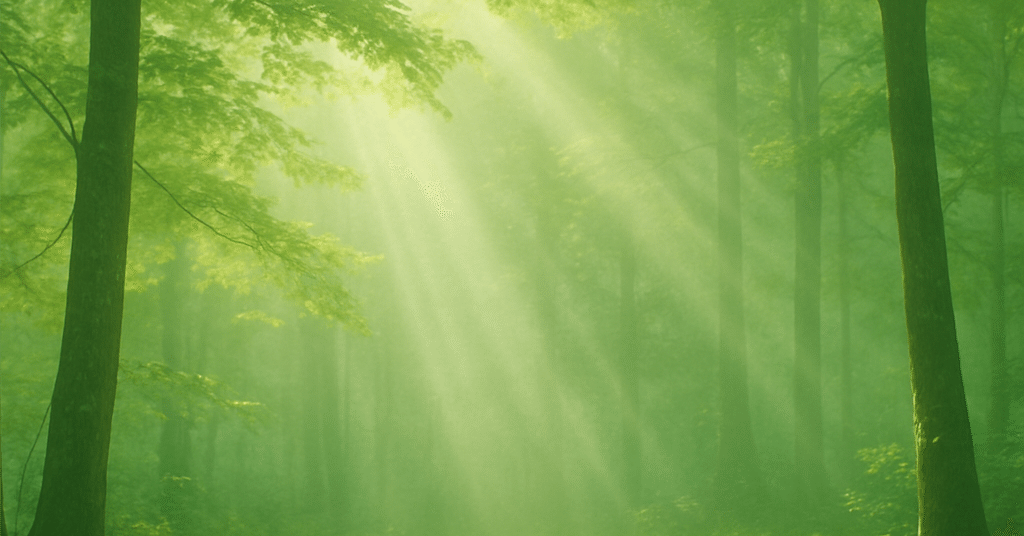 ひろさーん｜note