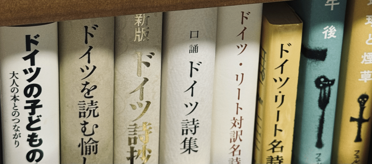 ミスターとわたし｢ドイツ総括｣｜Ryo L. Kern