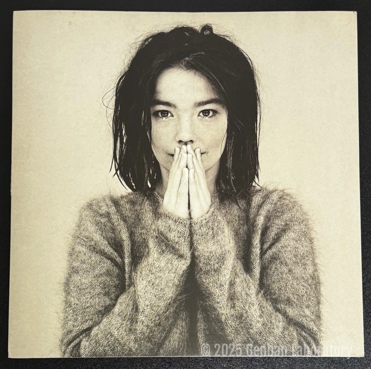 #005:Björk『Debut』1993年初版UK盤5000枚限定 徹底解剖｜原盤研究所