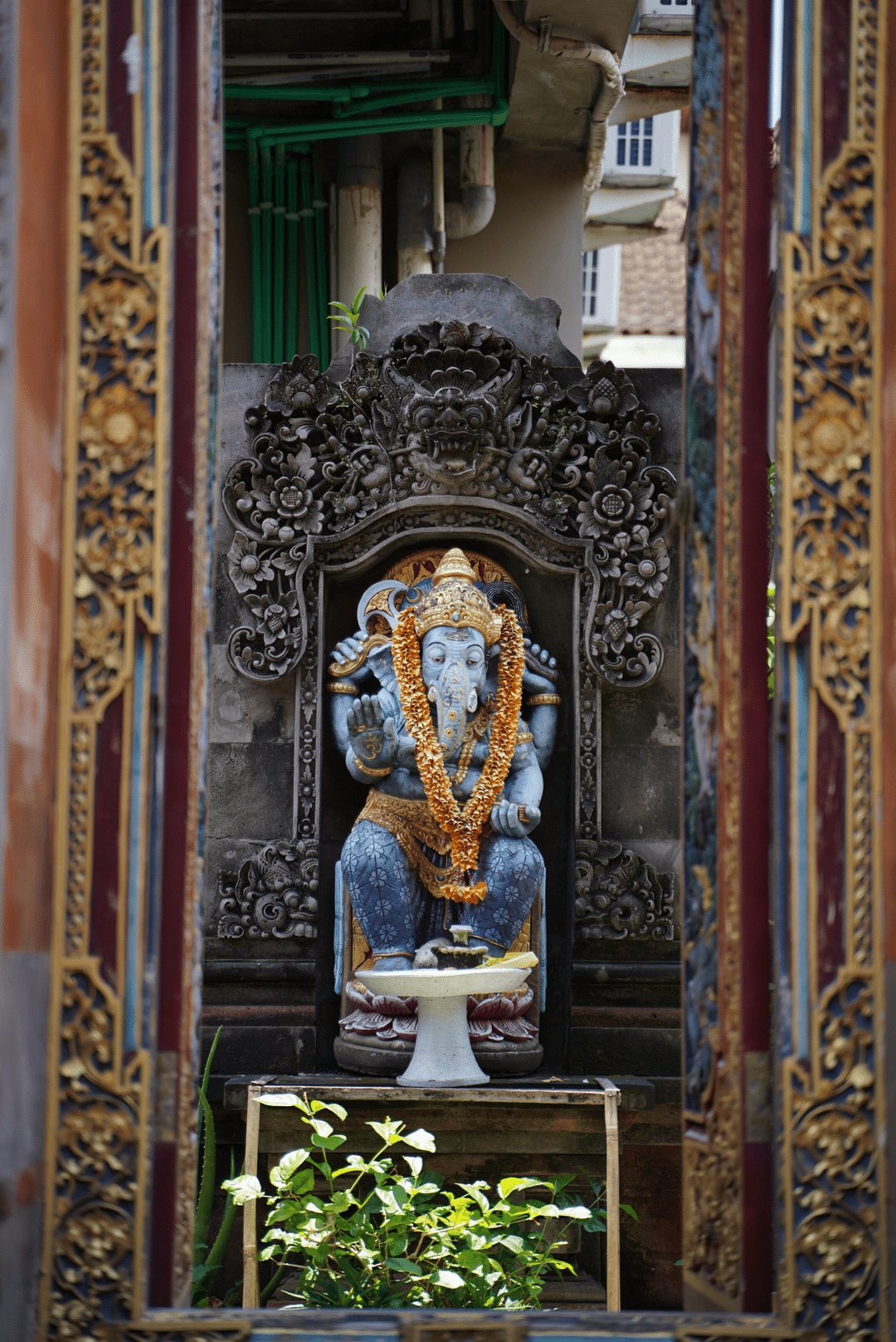 バリ島で地球を感じる。（旅エッセイ2）｜あゆみ