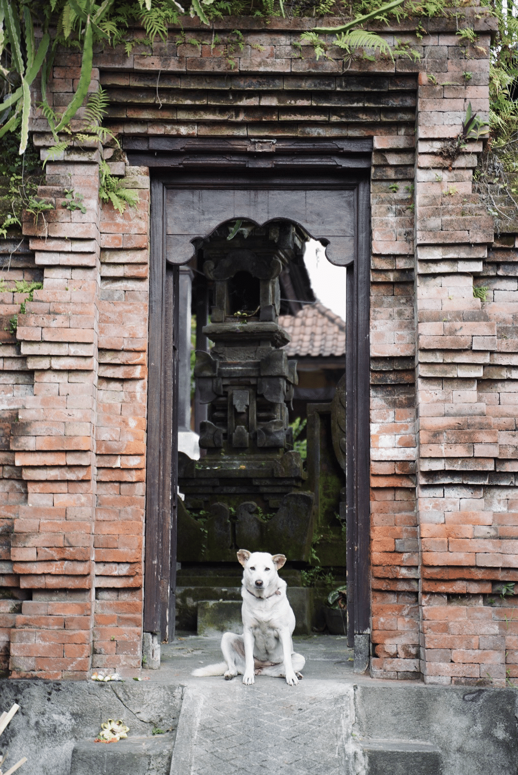 バリ島で地球を感じる。（旅エッセイ2）｜あゆみ