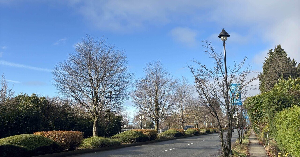 Day205 🇨🇦｜あんころもち