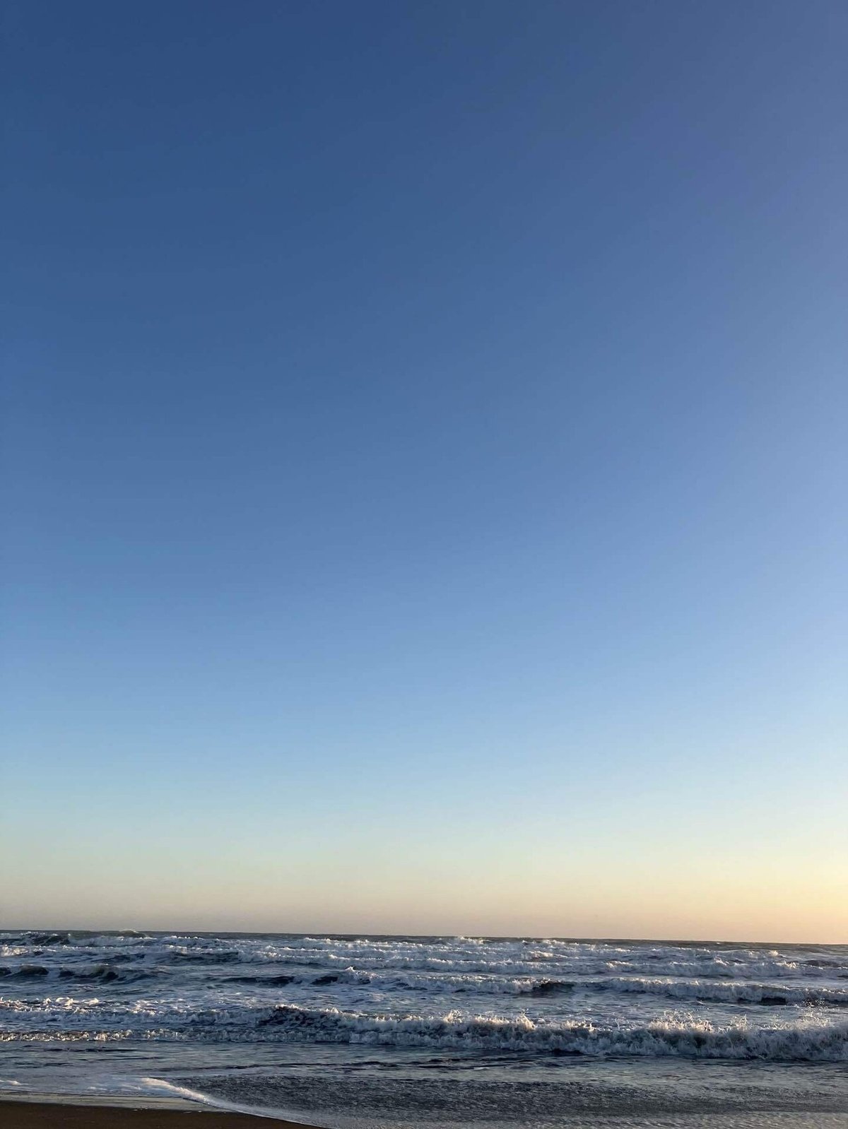 新卒2ヶ月退職・フリーランス5年。独立と組織、その先に見えた新しいキャリア｜みほ@宮崎市地域おこし協力隊 l コミュニケーションデザイナー