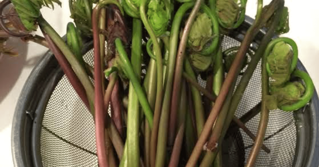 給付金の使い道｜Masatoshi Oka | 柿川亭｜note