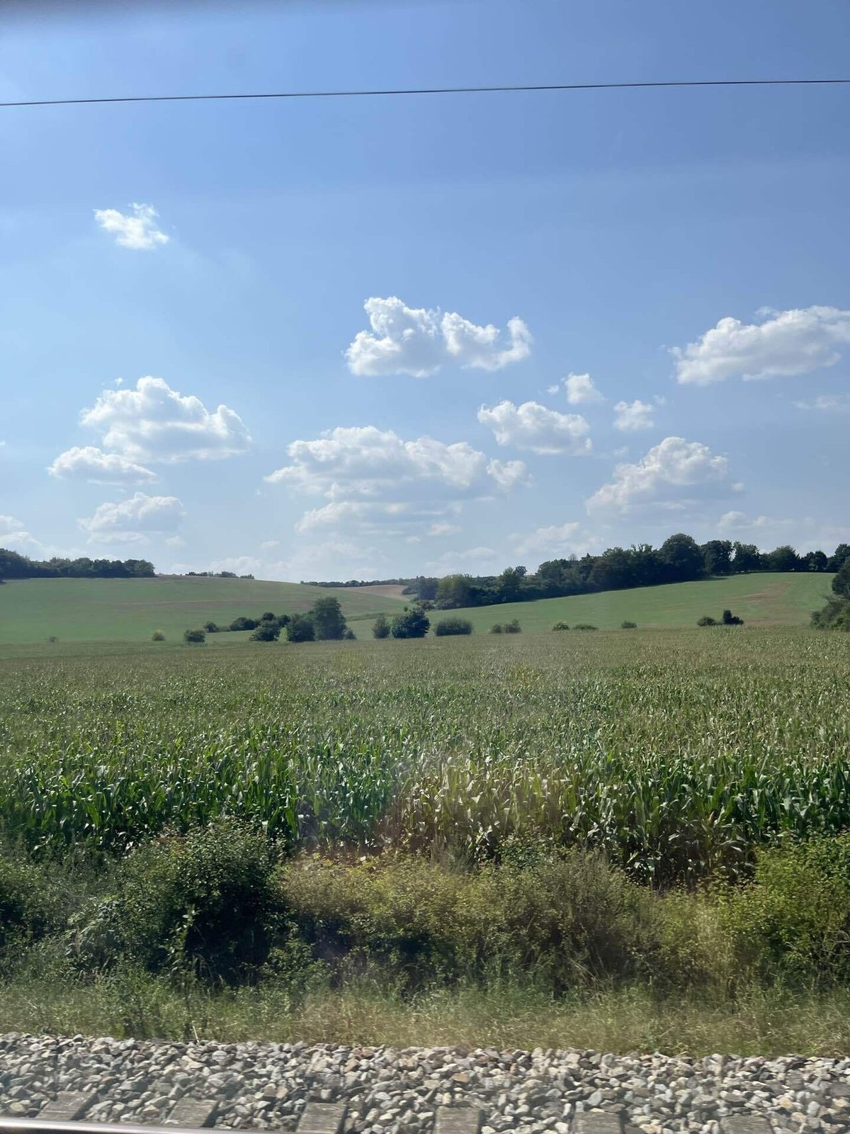 家族総出で推し活？マルティヌーを訪ねて｜SHOKO