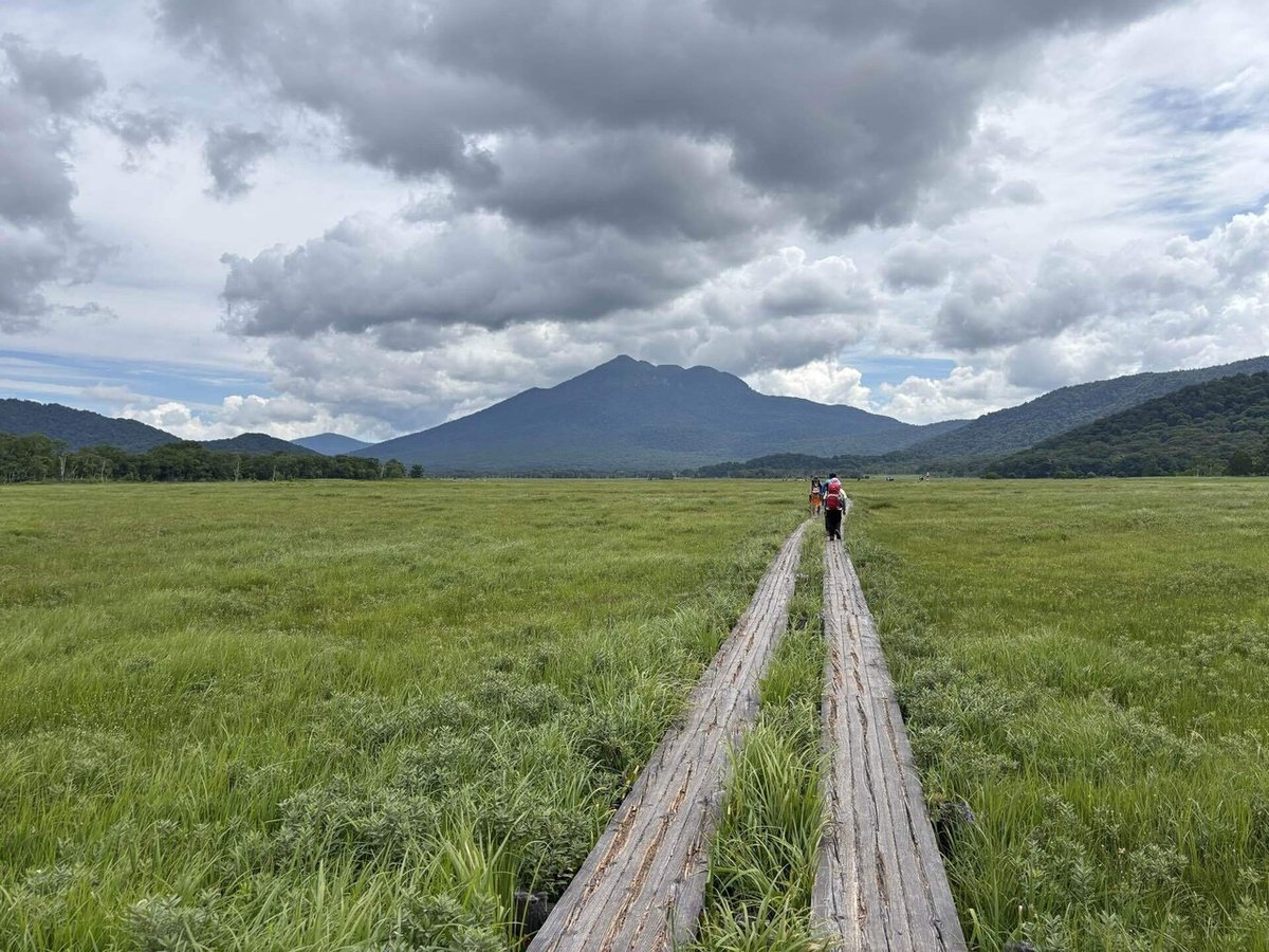 🇯🇵 Oze National Park — Japan’s Last Great Marshland Wilderness｜Explores ...